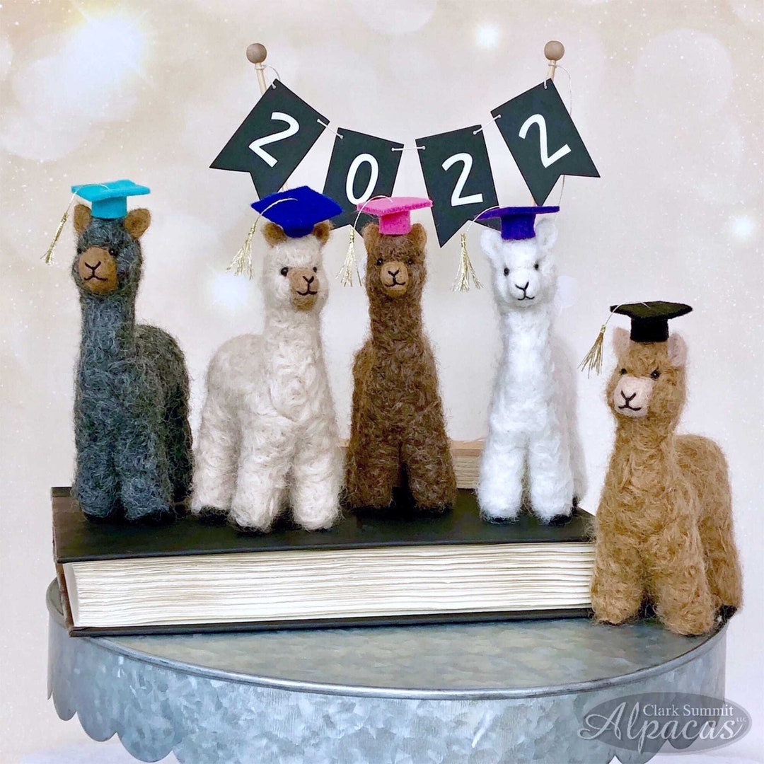 Llama Graduation Card Alternative, Unique Gift for Grads, Includes ...