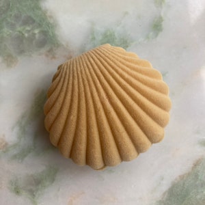 Pink or White Shell Shaped Box, Small Ring Box, Gift Packaging ...