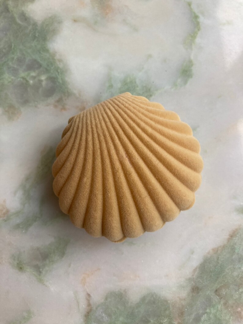 Pink or White Shell Shaped Box, Small Ring Box, Gift Packaging ...