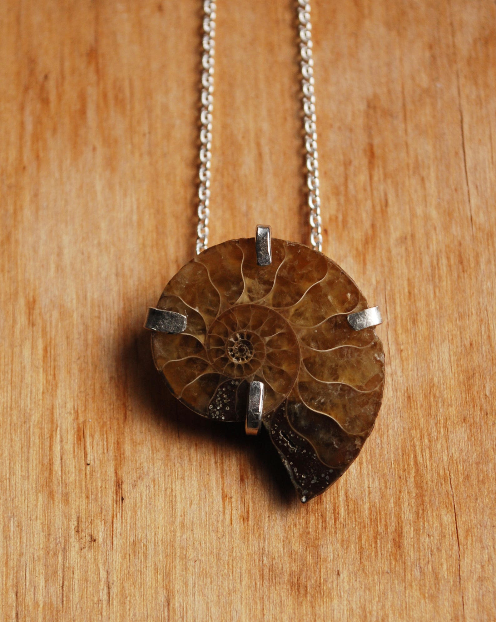 Sterling Silver Ammonite Fossil Necklace | Boho Stone Pendant - Etsy