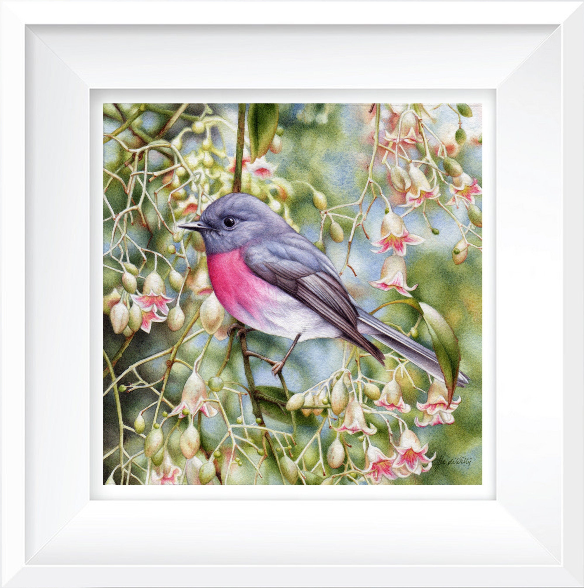 Rose Robin and Brachychiton - Etsy