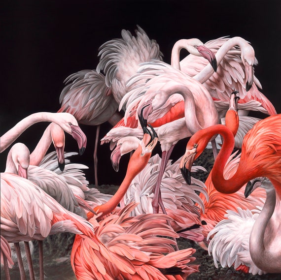 Flamingos The Great Romance | Etsy