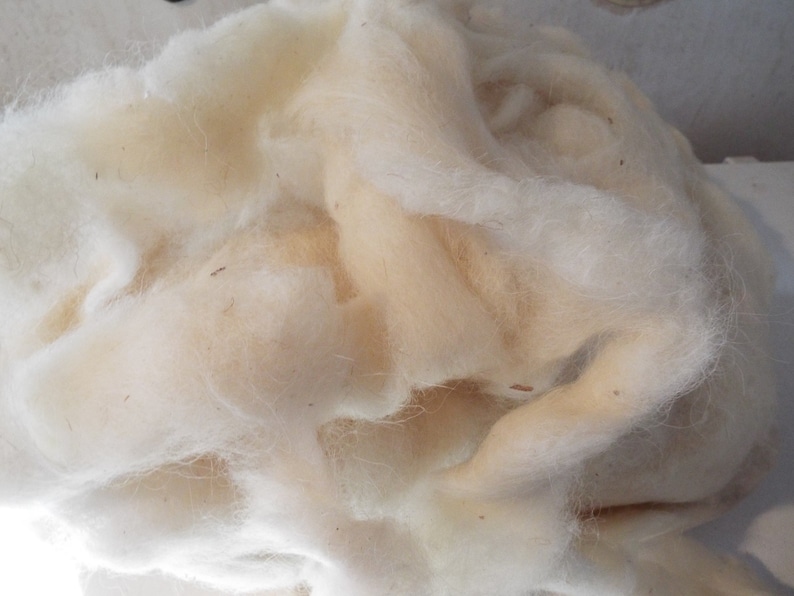 Navajo-churro Sheep Wool Roving - White - 6 Ounces - Etsy