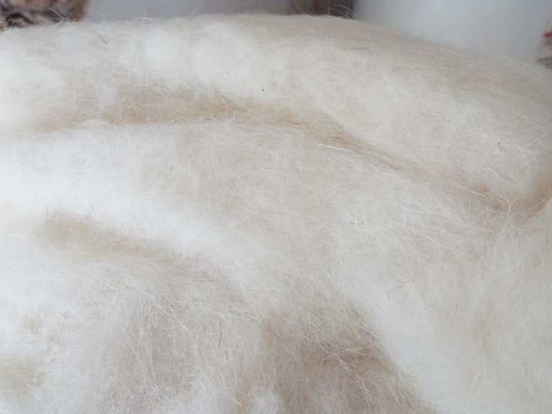Navajo-churro Sheep Wool Roving - White - 6 Ounces - Etsy