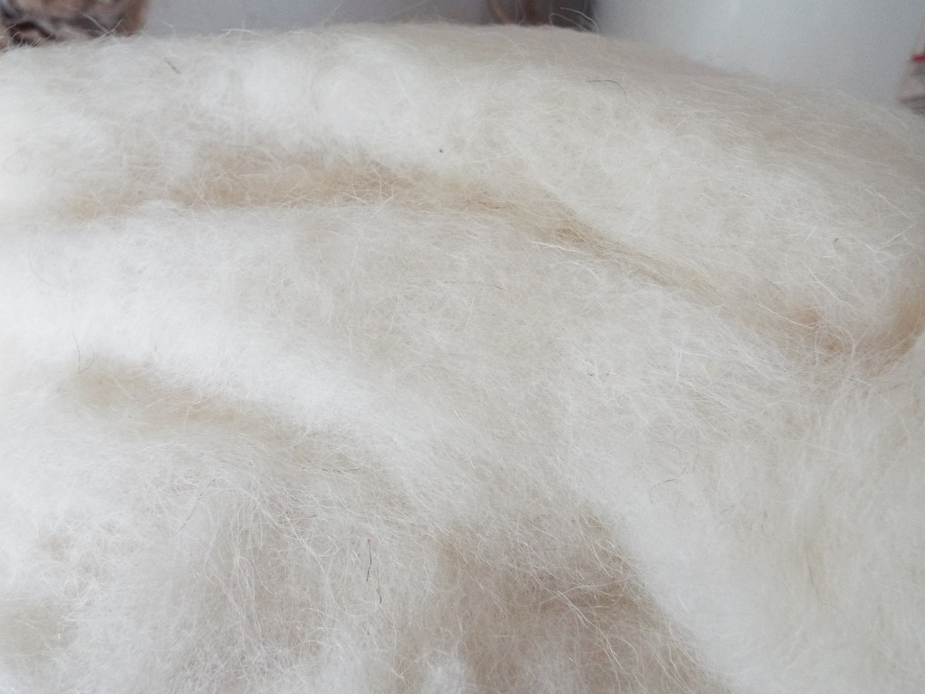 Navajo-churro Sheep Wool Roving - White - 6 Ounces - Etsy