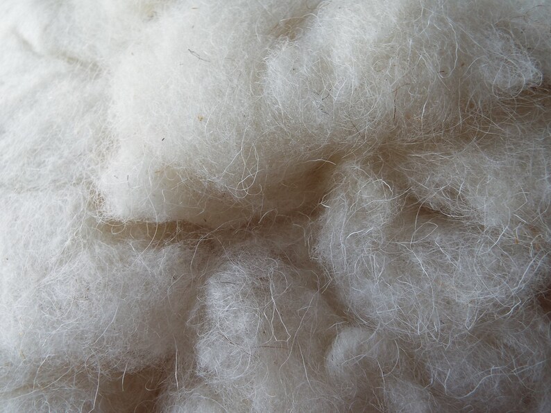Navajo-churro Sheep Wool Roving White 6 Ounces - Etsy