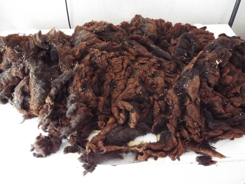Raw Navajo-churro Sheep Wool Black / Brown 6 Ounces of Raw - Etsy