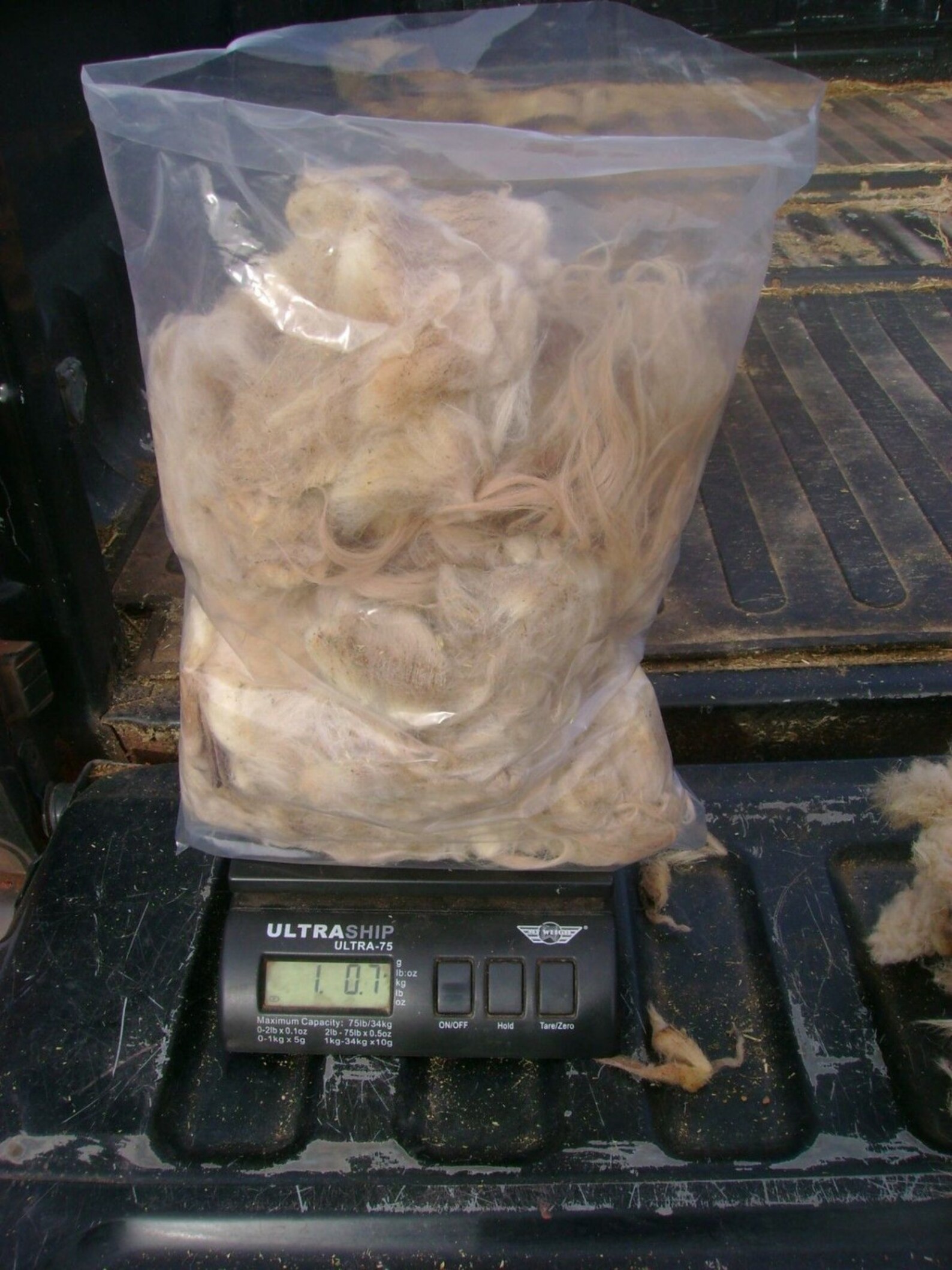 Raw Navajo-churro Sheep Wool Good for Craft Projects 6 - Etsy
