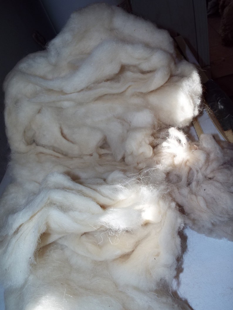 Navajo-churro Sheep Wool Roving - White - 6 Ounces - Etsy