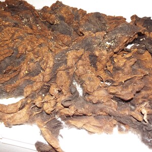 Raw Navajo-churro Sheep Wool Black / Brown 6 Ounces of Raw - Etsy