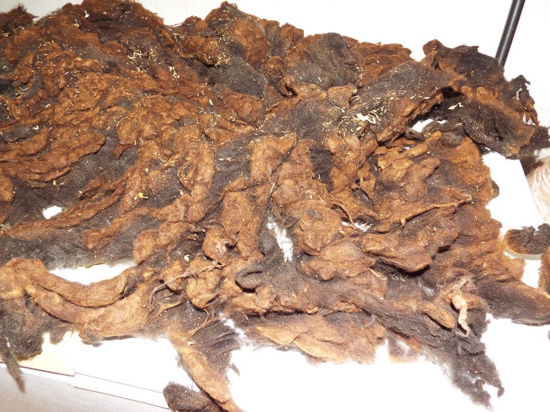Raw Navajo-churro Sheep Wool Black / Brown 6 Ounces of Raw - Etsy