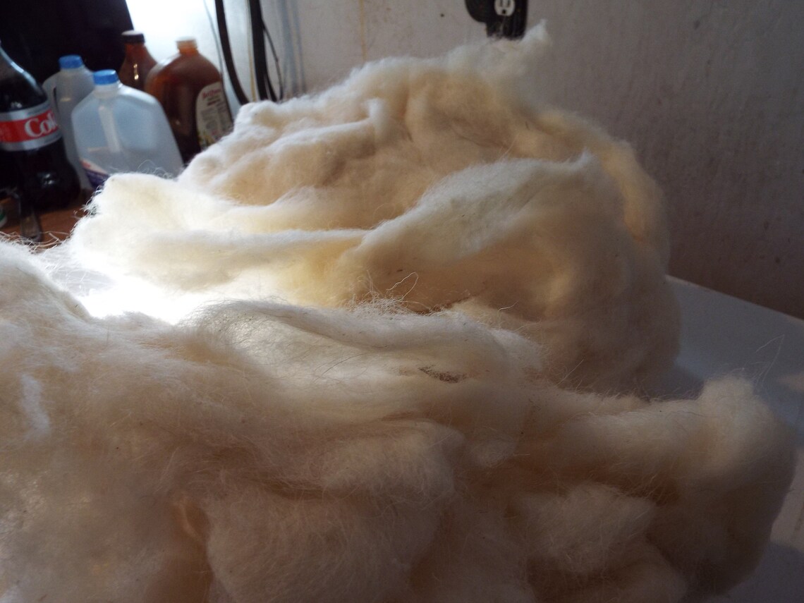 Navajo-churro Sheep Wool Roving White 6 Ounces - Etsy