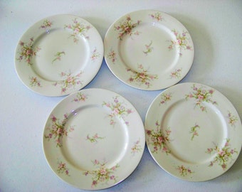 Jackson china | Etsy