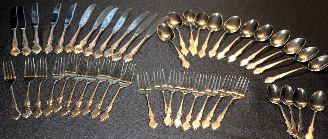 Continental Gourmet Stainless Flatware Silverware 46 Piece Set Pattern ...