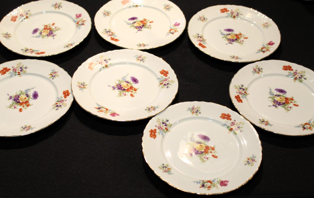 Colonial Silver COS2 USA Fine Translucent China Set of 7 Dinner Plates ...