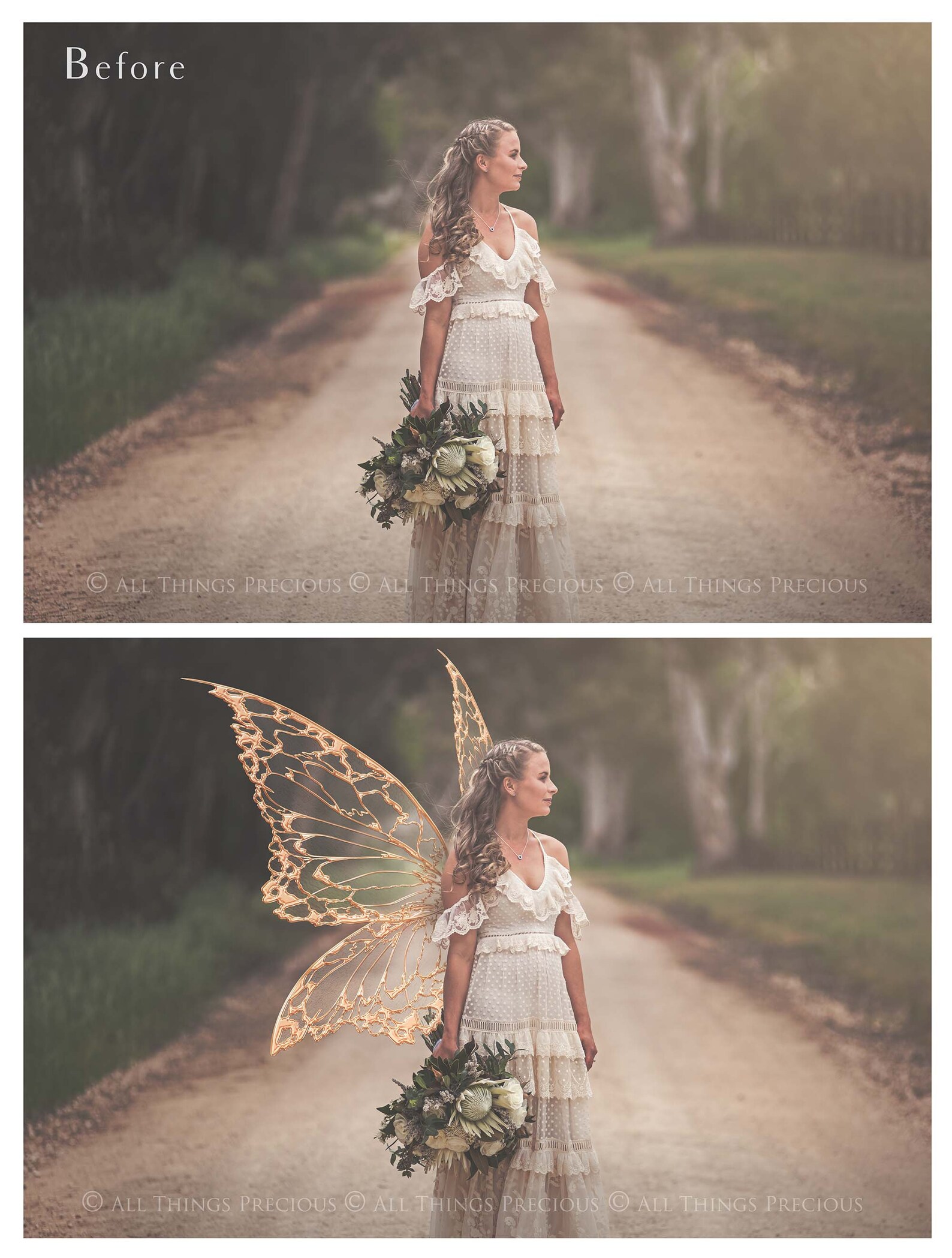 25 Png Overlays FILIGREE FAERY WINGS Set 9 / Photo Overlay - Etsy