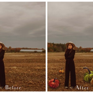 Png OVERLAYS - Velvet PUMPKINS / Photo Overlay, High Resolution ...