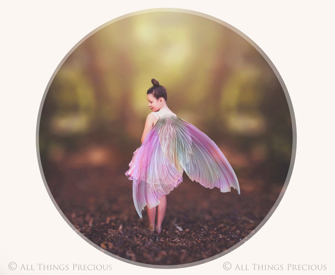 24 Png Digital OVERLAYS Pretty FAIRY WINGS Set 2 / Wing | Etsy