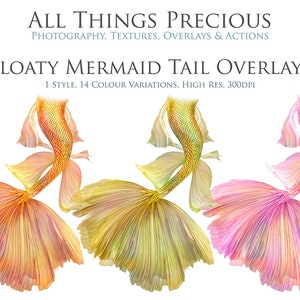 MERMAID Tails, Png Clipart, Photography Overlays, FLOATY Tails Png ...