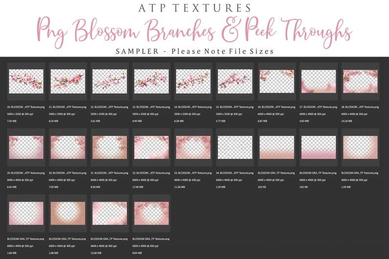 Photo Overlays, PNG Blossom Flower Branches, Crowns and Peek Throughs ...