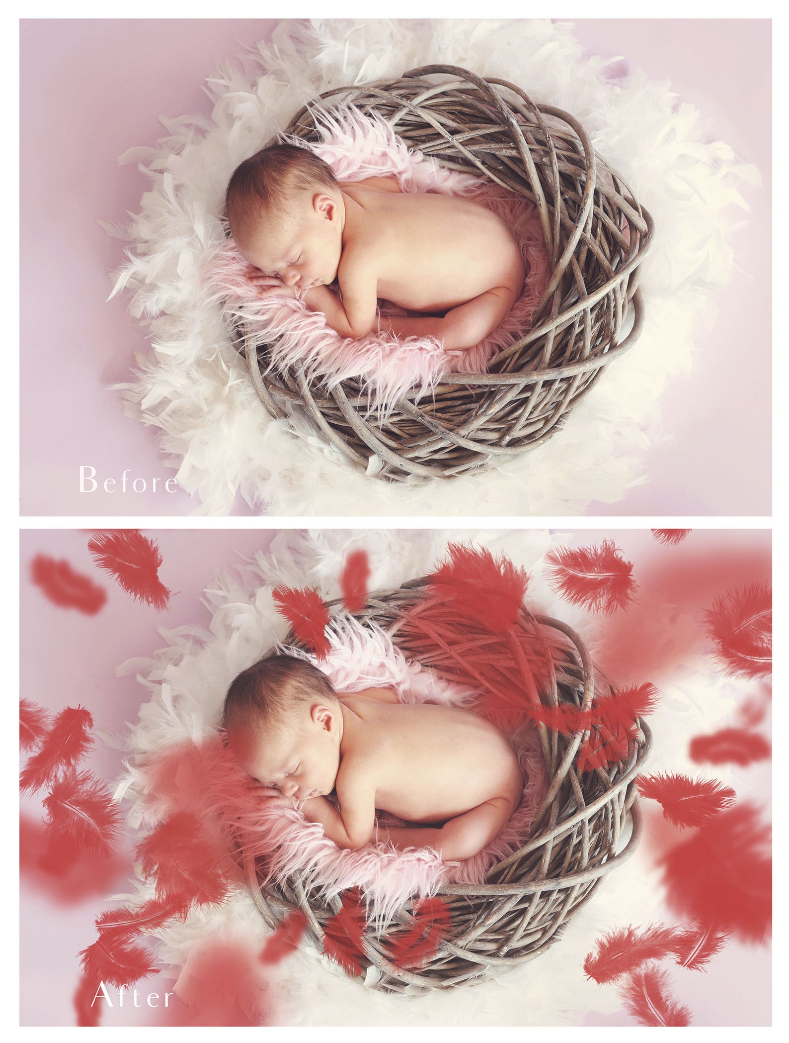 PHOTO OVERLAYS PNG Red Feathers Digital Overlay Feather - Etsy