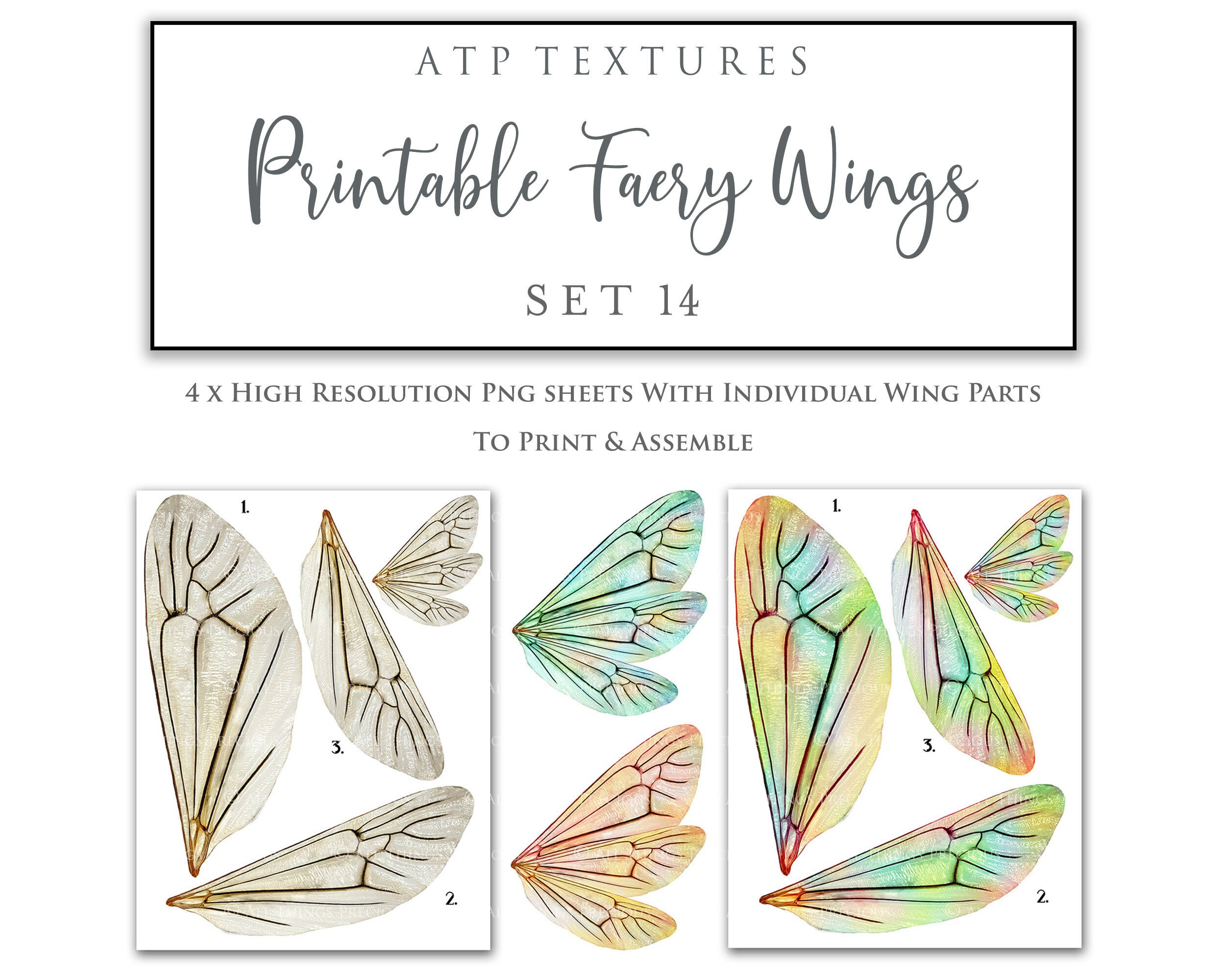 Printable Fairy Wing Template