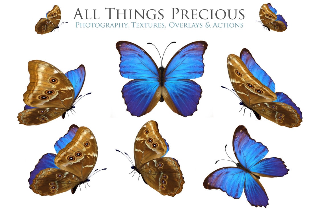 27 Butterfly Overlays Set 1 / Digital Overlay Fine Art - Etsy