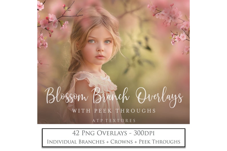 Photo Overlays, PNG Blossom Flower Branches, Crowns and Peek Throughs ...