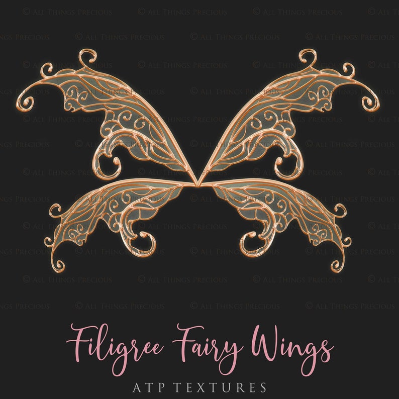 25 Png Overlays FILIGREE FAERY WINGS Set 2 / Photo Overlay - Etsy