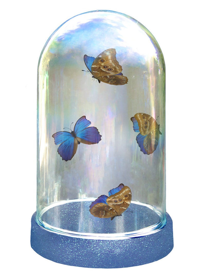 SNOW DOME Png Overlays and PSD Template No.1 / Realistic Snow - Etsy ...