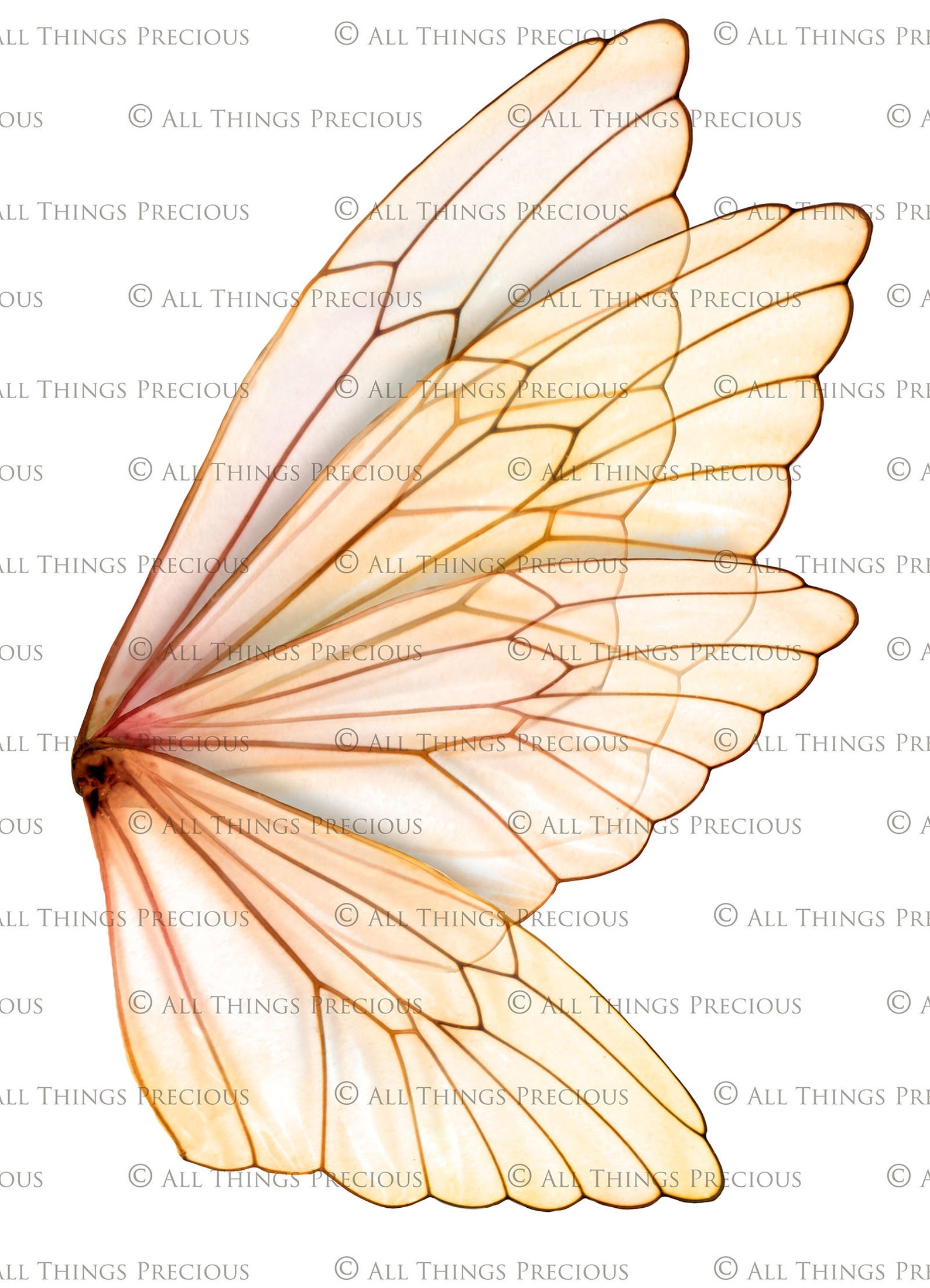 PRINTABLE FAIRY WINGS Set 4 Scrapbooking Clipart Digital - Etsy