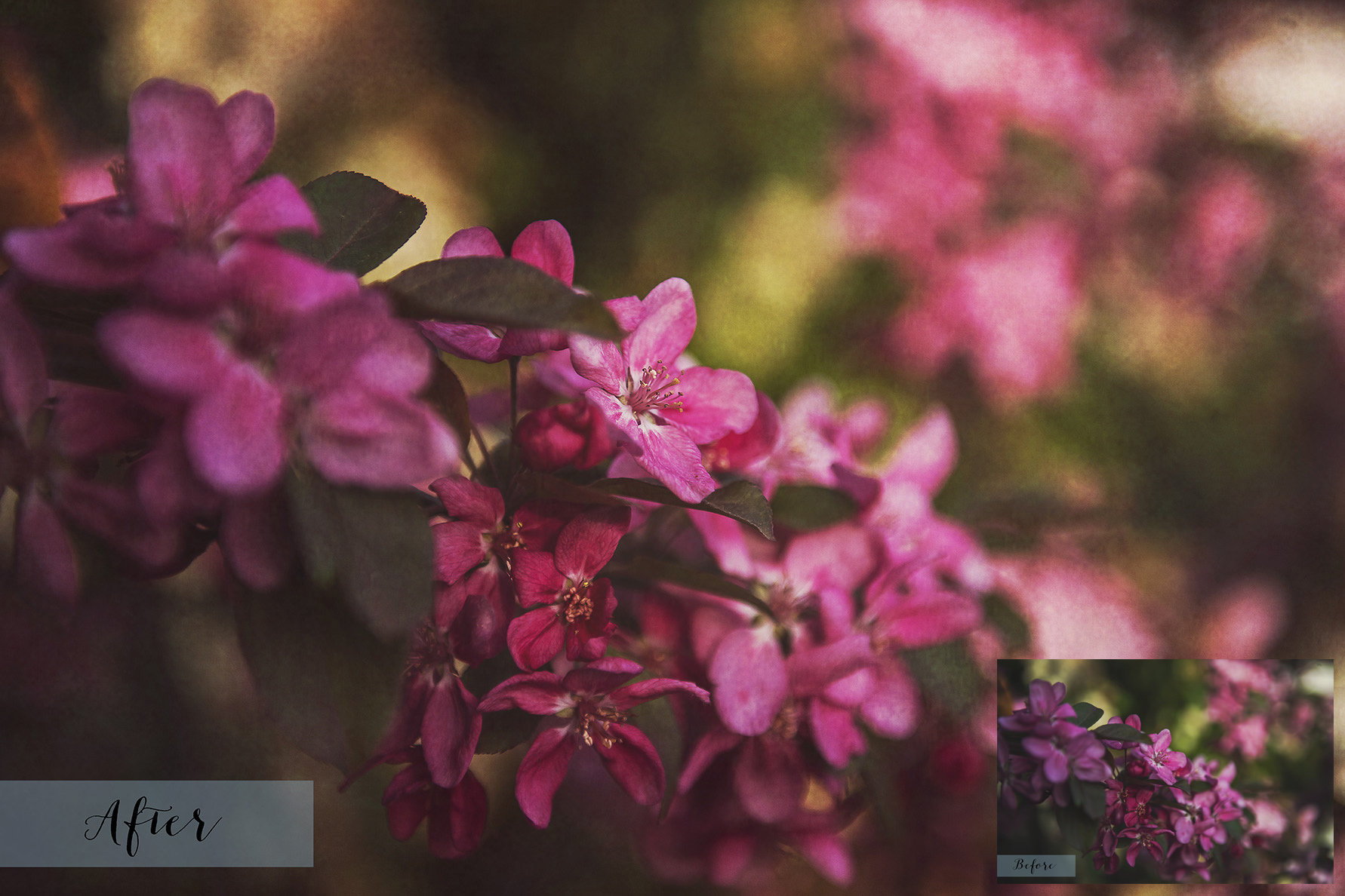 Fine Art TEXTURES PINK Set 1 / Photography Texture Digital | Etsy