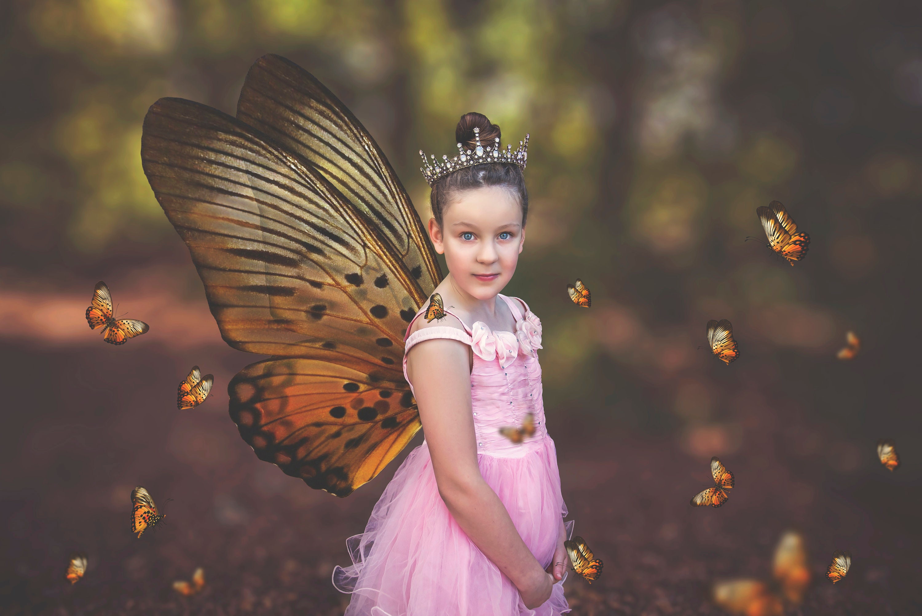 27 Butterfly Overlays Set 1 / Digital Overlay Fine Art - Etsy