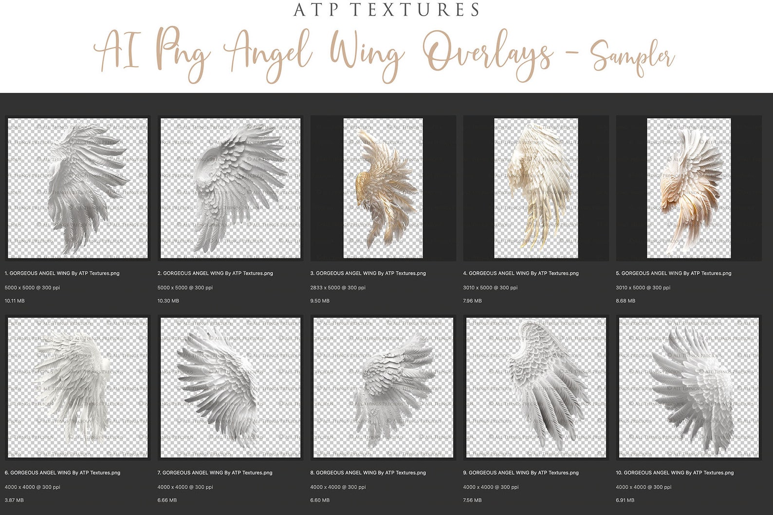 ANGEL WINGS - Photo Overlays, Digital Wing, Png Clipart, Photoshop ...