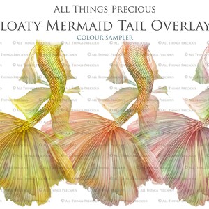 MERMAID Tails, Png Clipart, Photography Overlays, FLOATY Tails - Png ...