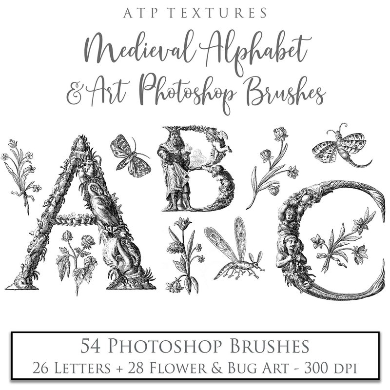 Alphabet Photography - Etsy