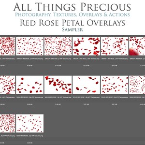 50 OVERLAYS PHOTOSHOP PNG - Red Rose Petal Clipart - Photo Overlay ...