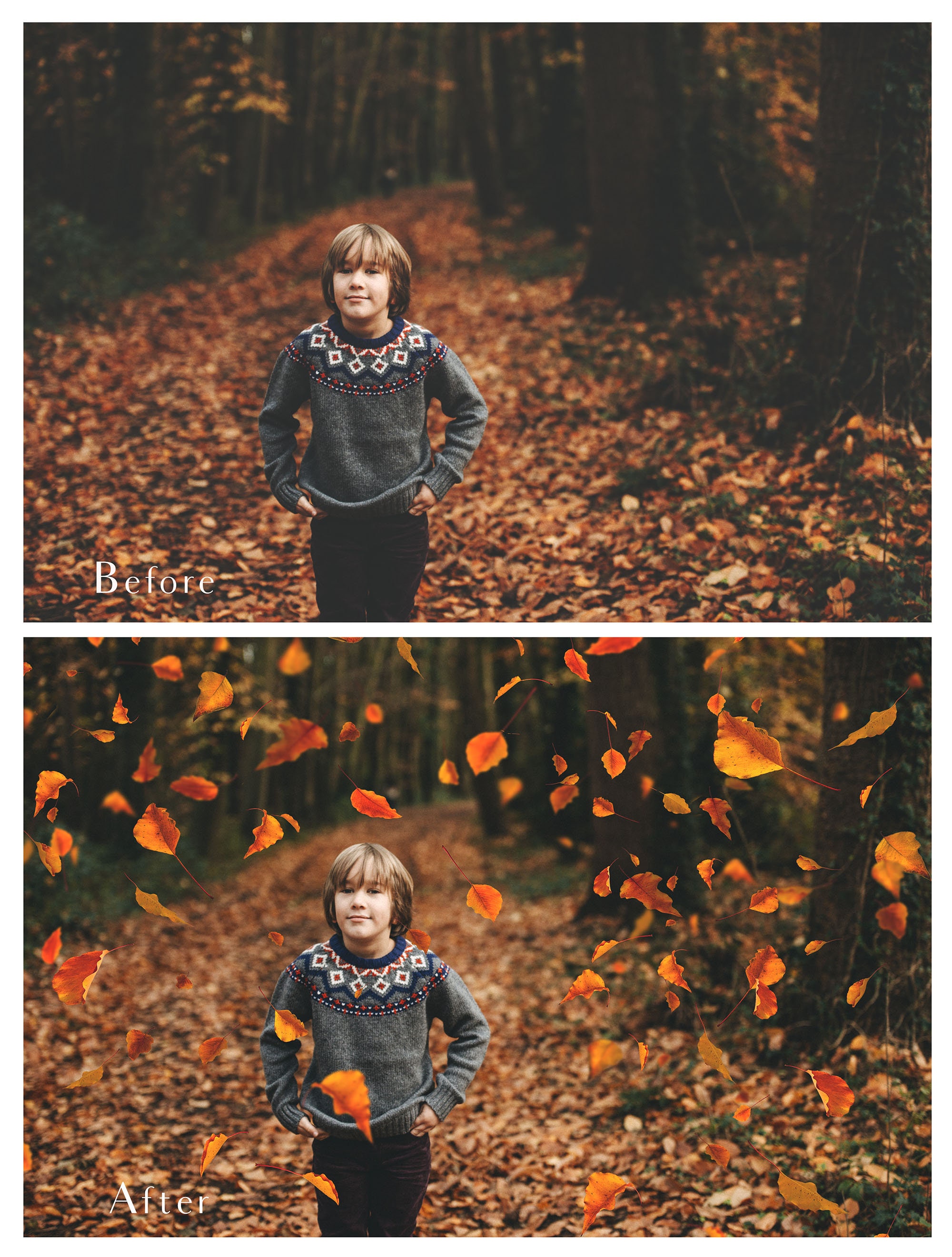 85 Leaf OVERLAYS PNG Fall Overlay Leaves Digital | Etsy