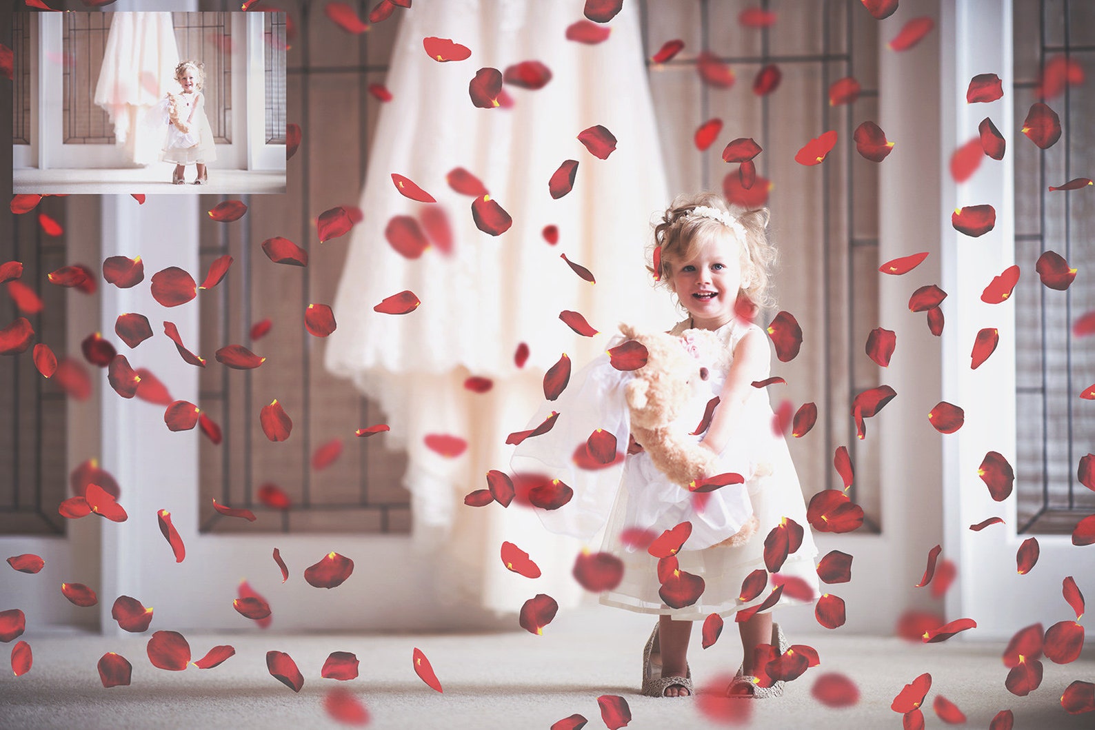 50 OVERLAYS PHOTOSHOP PNG - Red Rose Petal Clipart - Photo Overlay ...