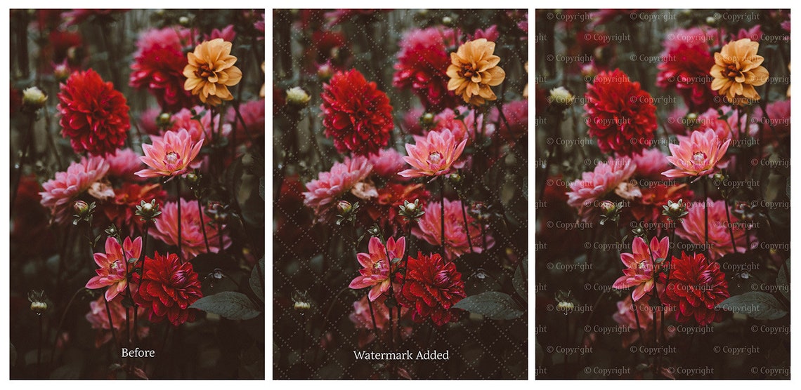 WATERMARK OVERLAYS With Seamless Photoshop PATTERN Digital - Etsy