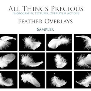 30 PNG OVERLAYS, Feather Overlay, Photography, Photoshop, Fine Art ...