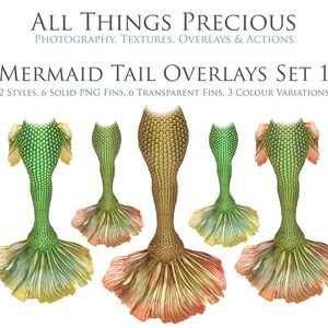 48 OVERLAYS - MERMAID TAIL - Png Bundle No.2 / Photo Overlay,digital ...