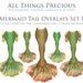 48 OVERLAYS MERMAID TAIL Png Bundle No.2 / Photo Overlay,digital ...