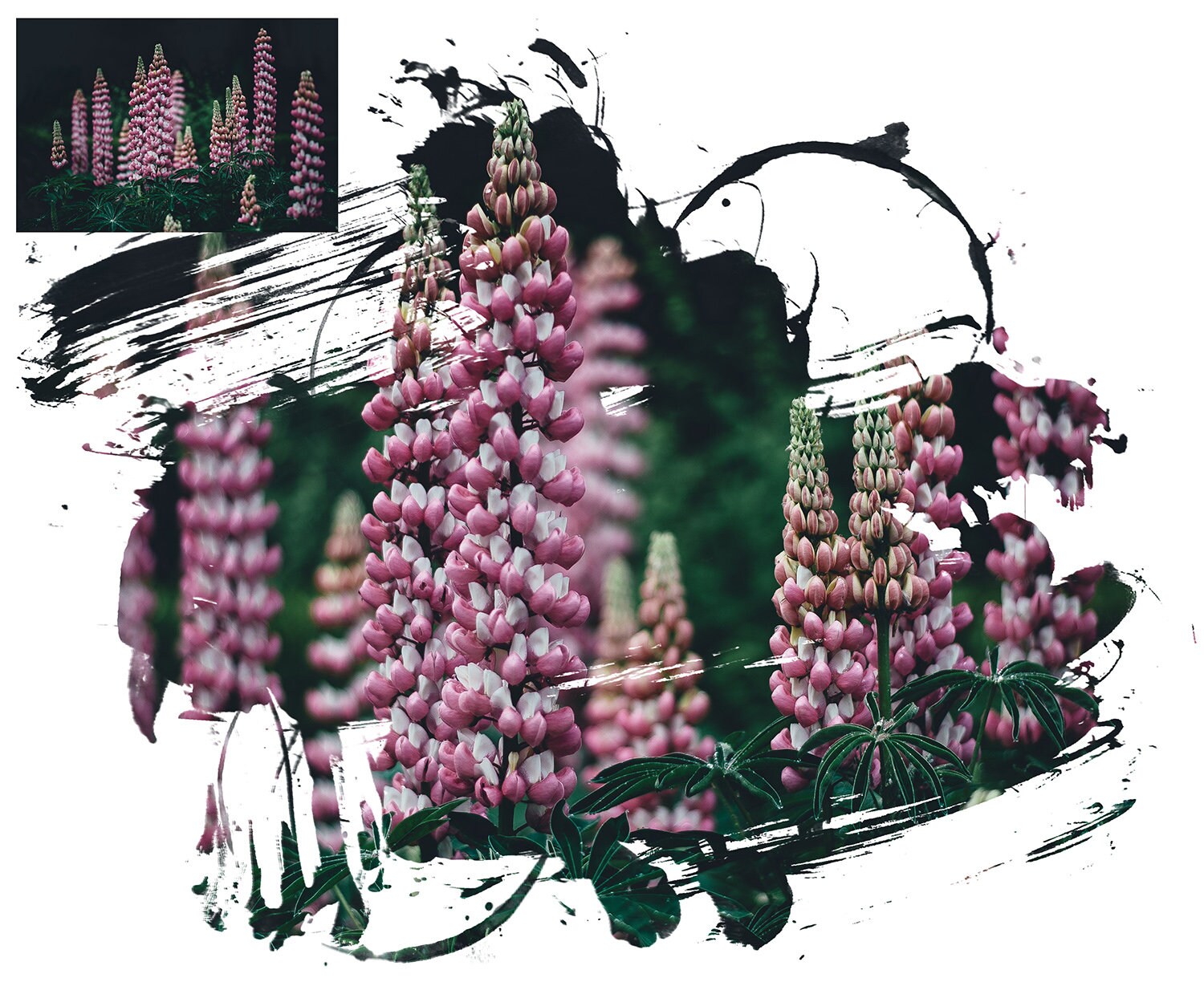 PAINT CLIPPING MASKS Clipart Png Splatter Frames / Watercolour Mask ...