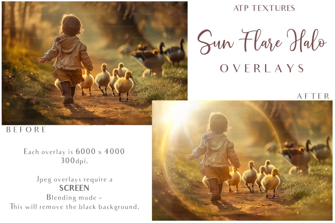Sun Flare Halo Ring Overlays, Set 2. Jpeg Overlay for Photography ...