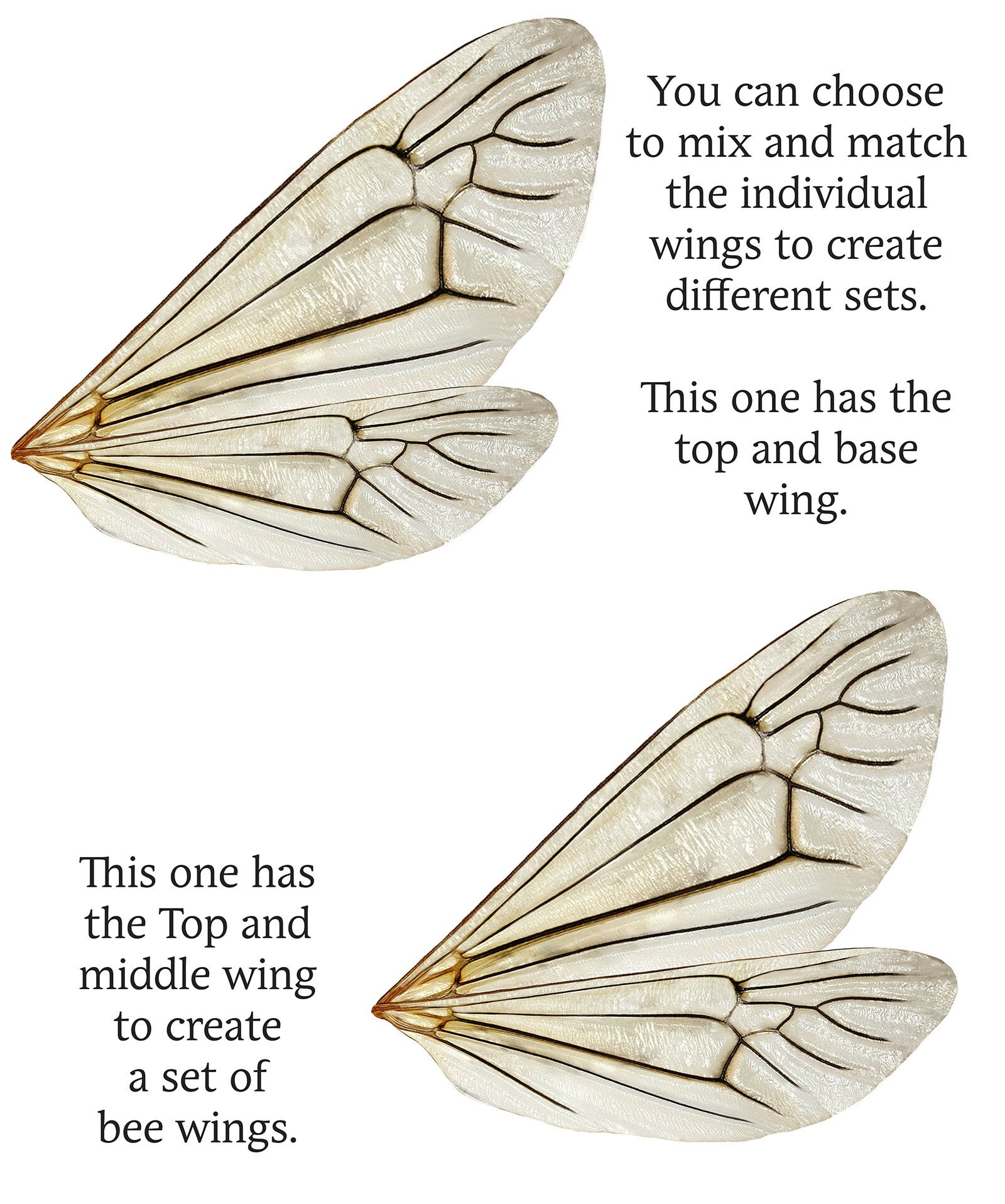 PRINTABLE FAIRY WINGS Set 14 - Print Pattern, Template, Clipart Png ...