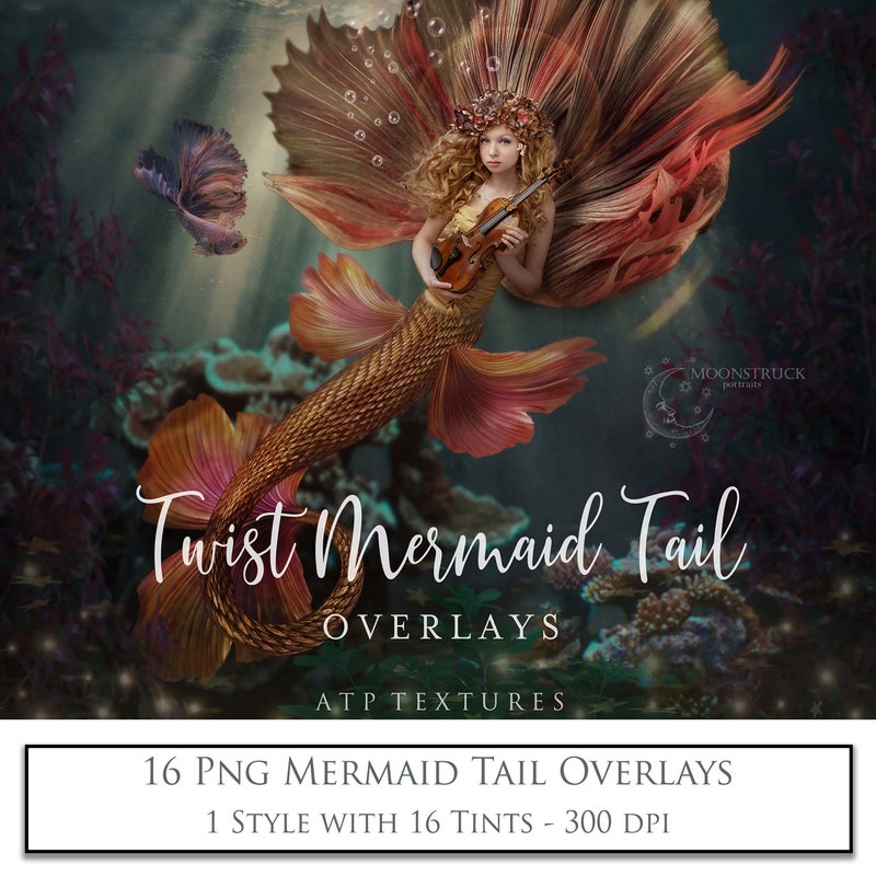Mermaid Fine Art - Etsy