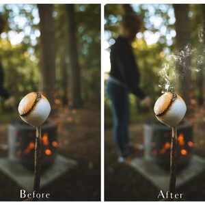 40 Png Overlays, SMOKE and STEAM + Photoshop BRUSHES / Photo Overlay ...