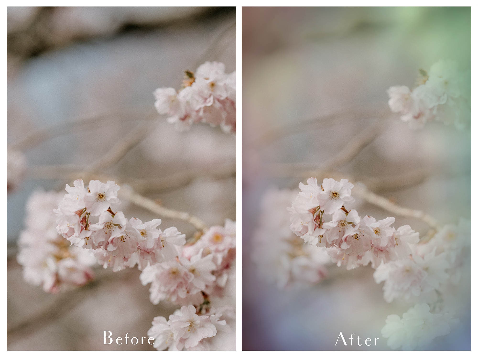 Png OVERLAYS Tint Vignette No. 3 / Photo Overlay Texture - Etsy Australia