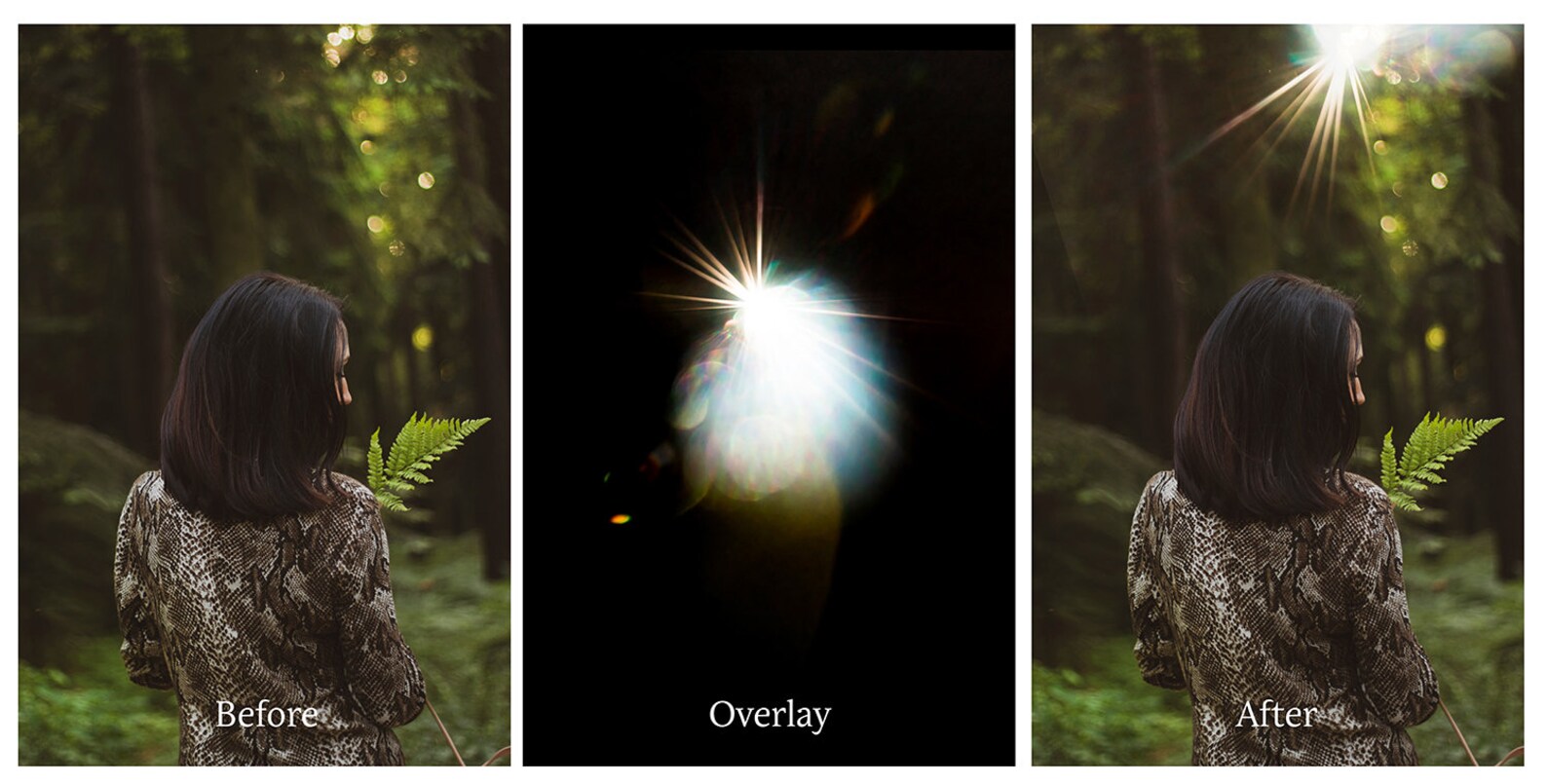 12 LENS FLARE Overlays Set 1 Photoshop Overlay Sunlight - Etsy